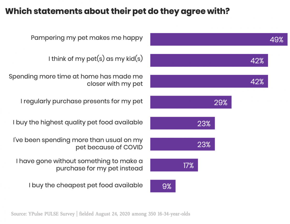 76% of Millennials Are Pet Parents—Here’s What They’ve Been Buying for ...